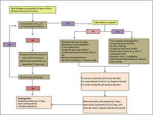 Neonatal Abstinence Syndrome (NAS) – NCPOEP